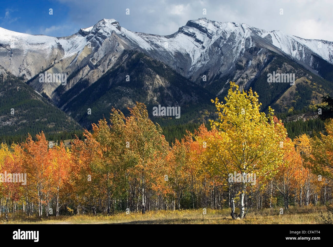William booth Banque de photographies et d’images à haute résolution ...