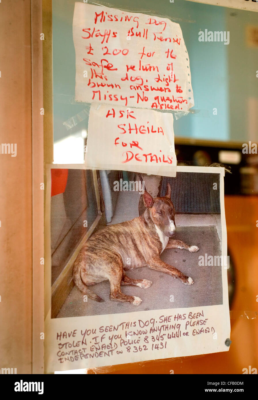Affiche pour chien disparu Banque de photographies et d’images à haute ...