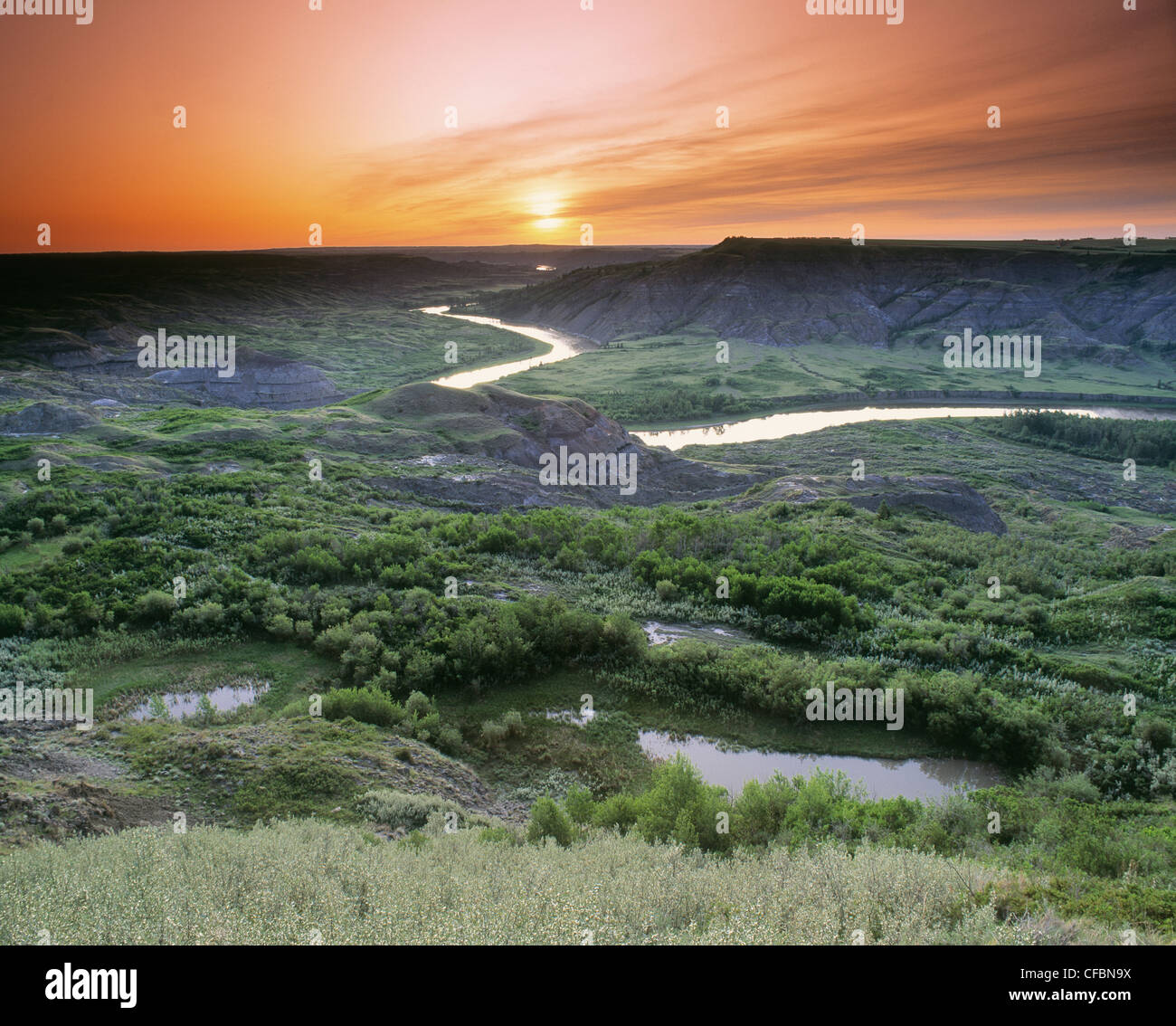 Dry island buffalo jump provincial park Banque de photographies et d ...