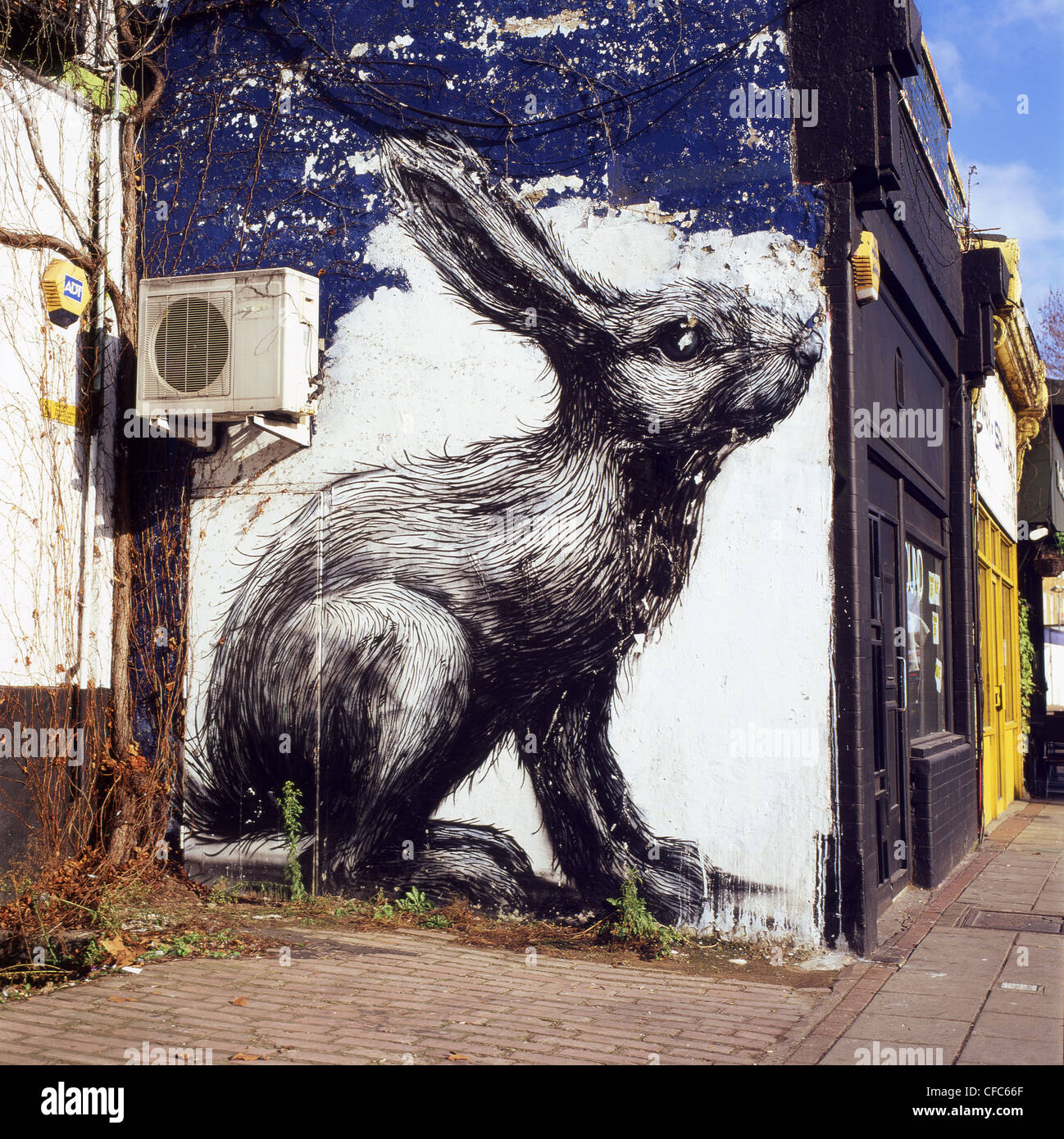 Roa rabbit Banque de photographies et d’images à haute résolution - Alamy