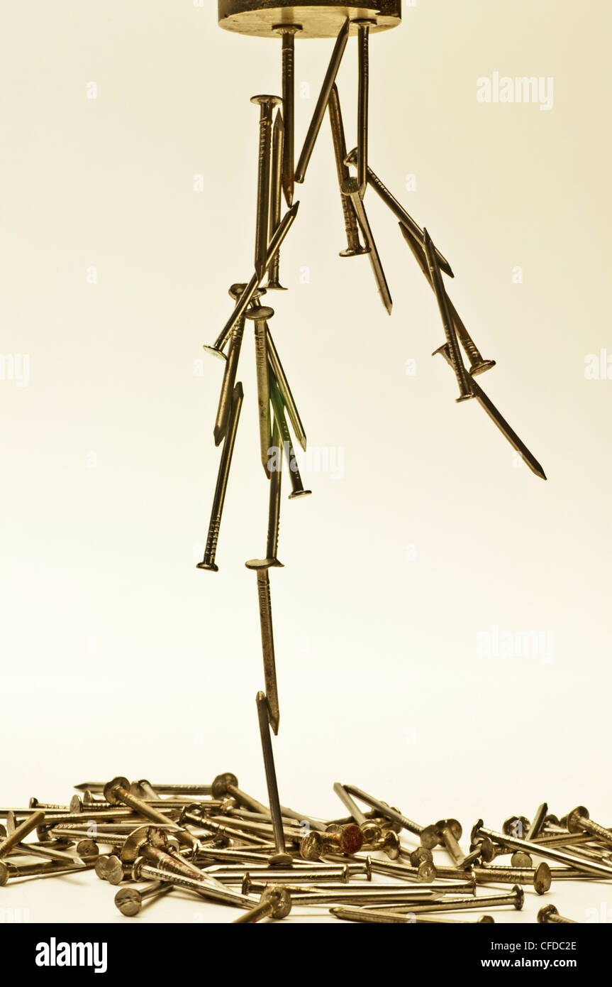 Aimant et clous Banque de photographies et d’images à haute résolution ...