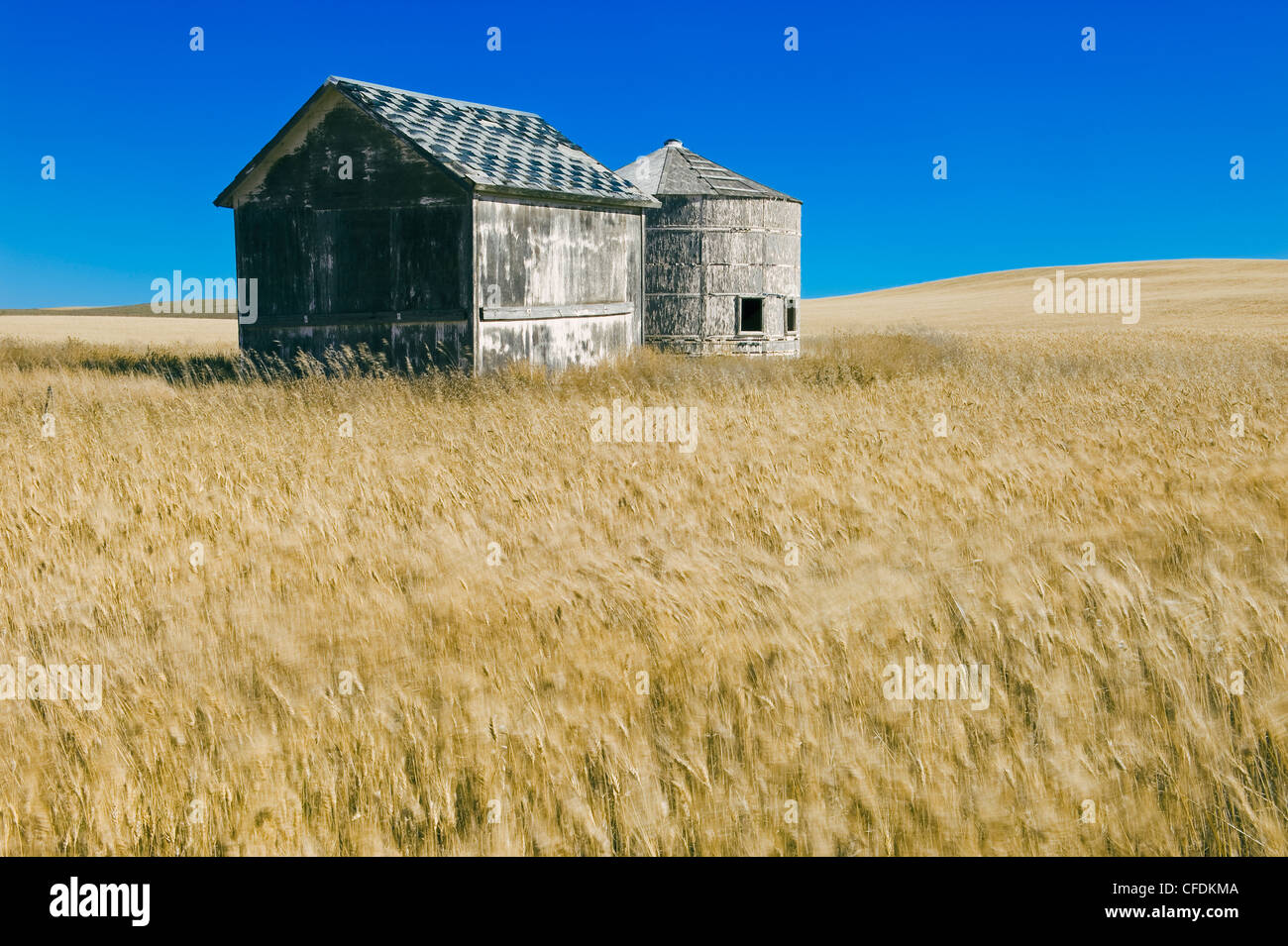 Champ près du vieux silo de ferme abandonné Banque de photographies et ...