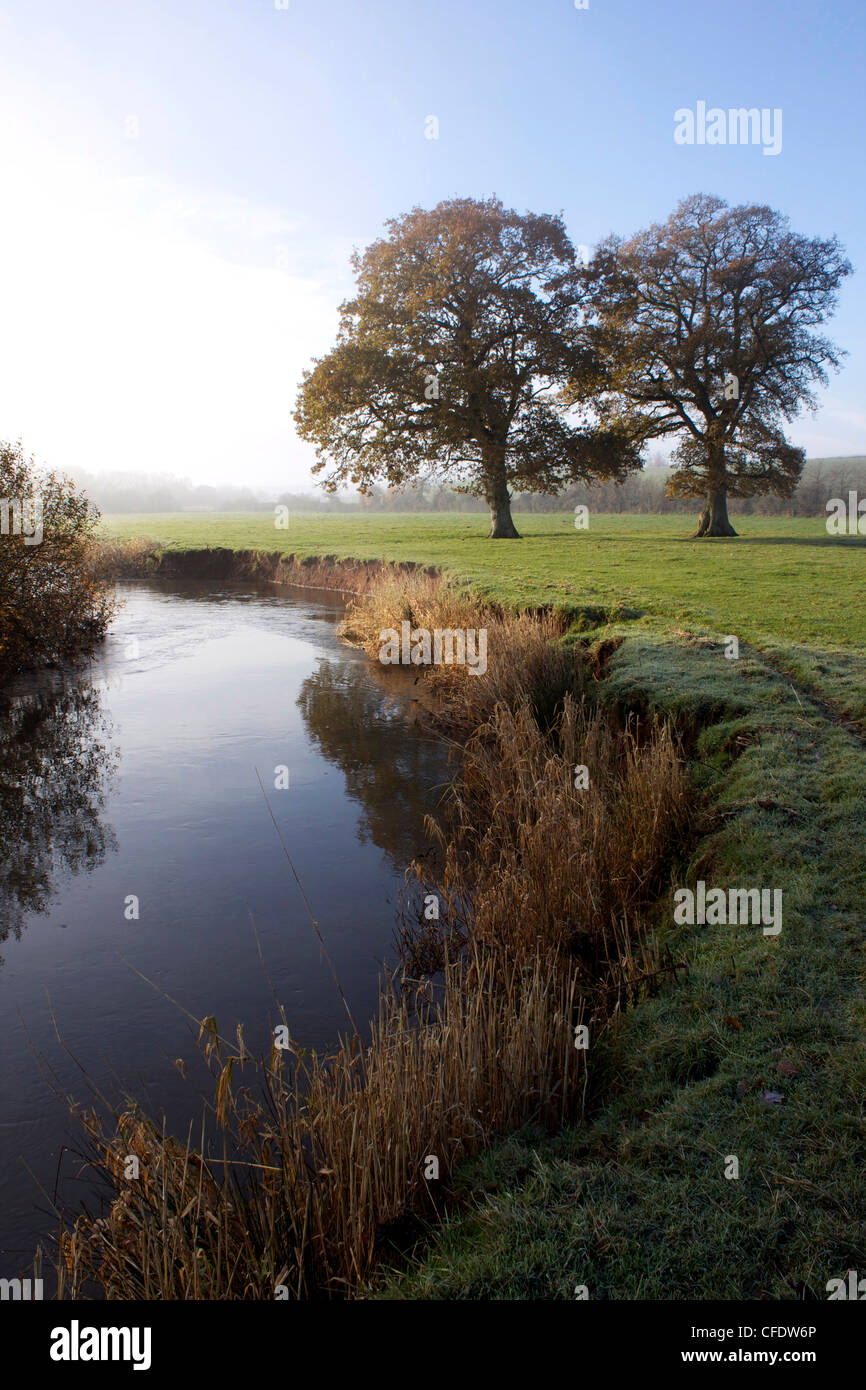 Rewe devon Banque de photographies et d’images à haute résolution - Alamy