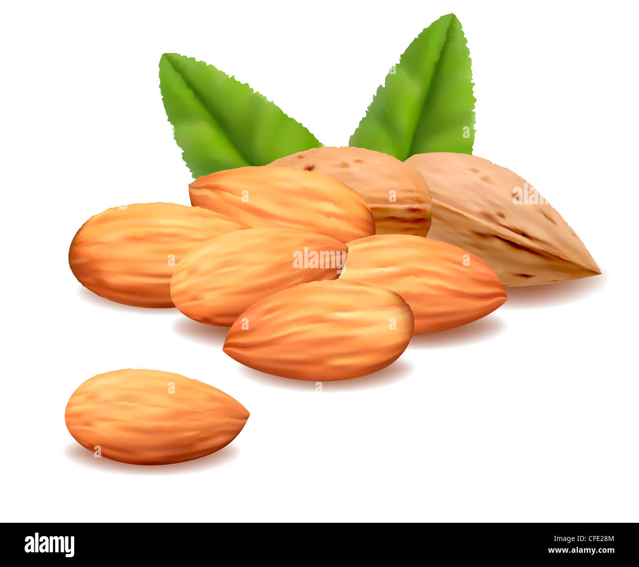 Feuilles et une amande Banque d'images détourées - Alamy