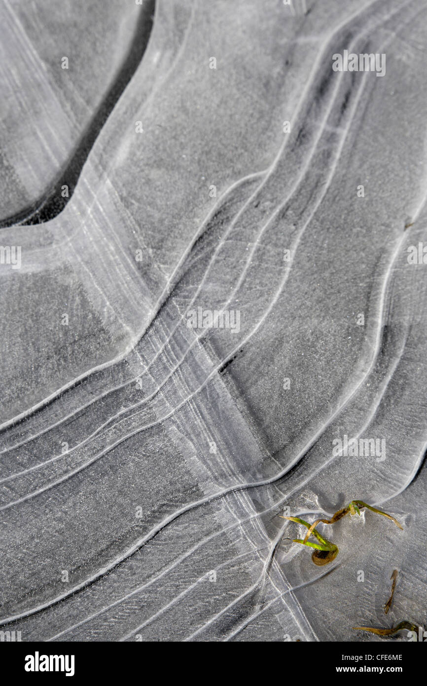 L'herbe pousse à travers la glace, et les modèles de cristaux de glace ...