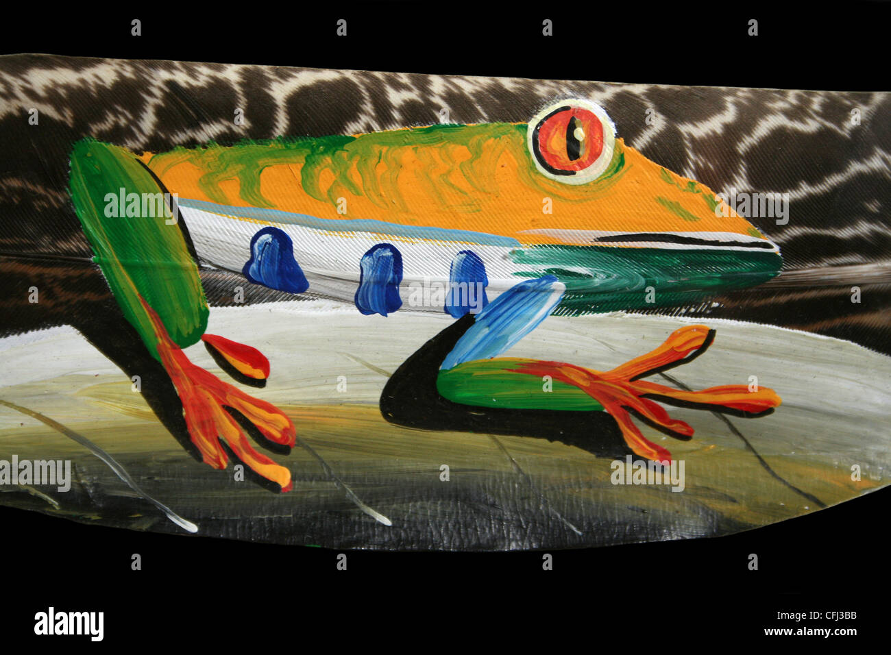 Grenouille du costa rica Banque de photographies et d’images à haute ...