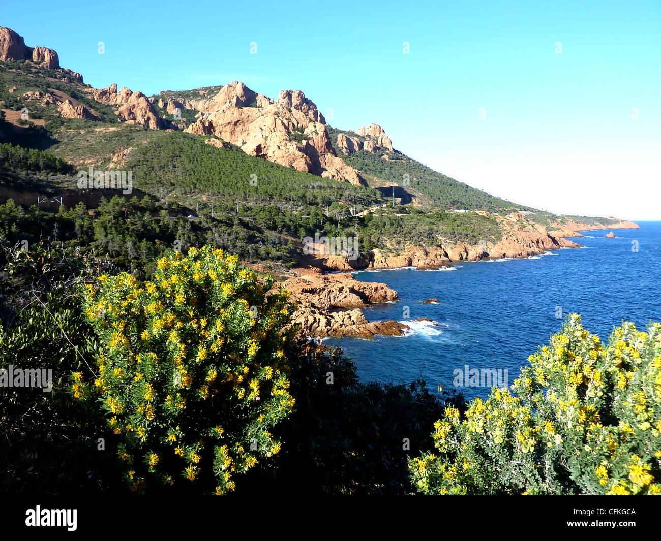 Massif de l'Esterel, sud de la France, et les plantes et la végétation ...