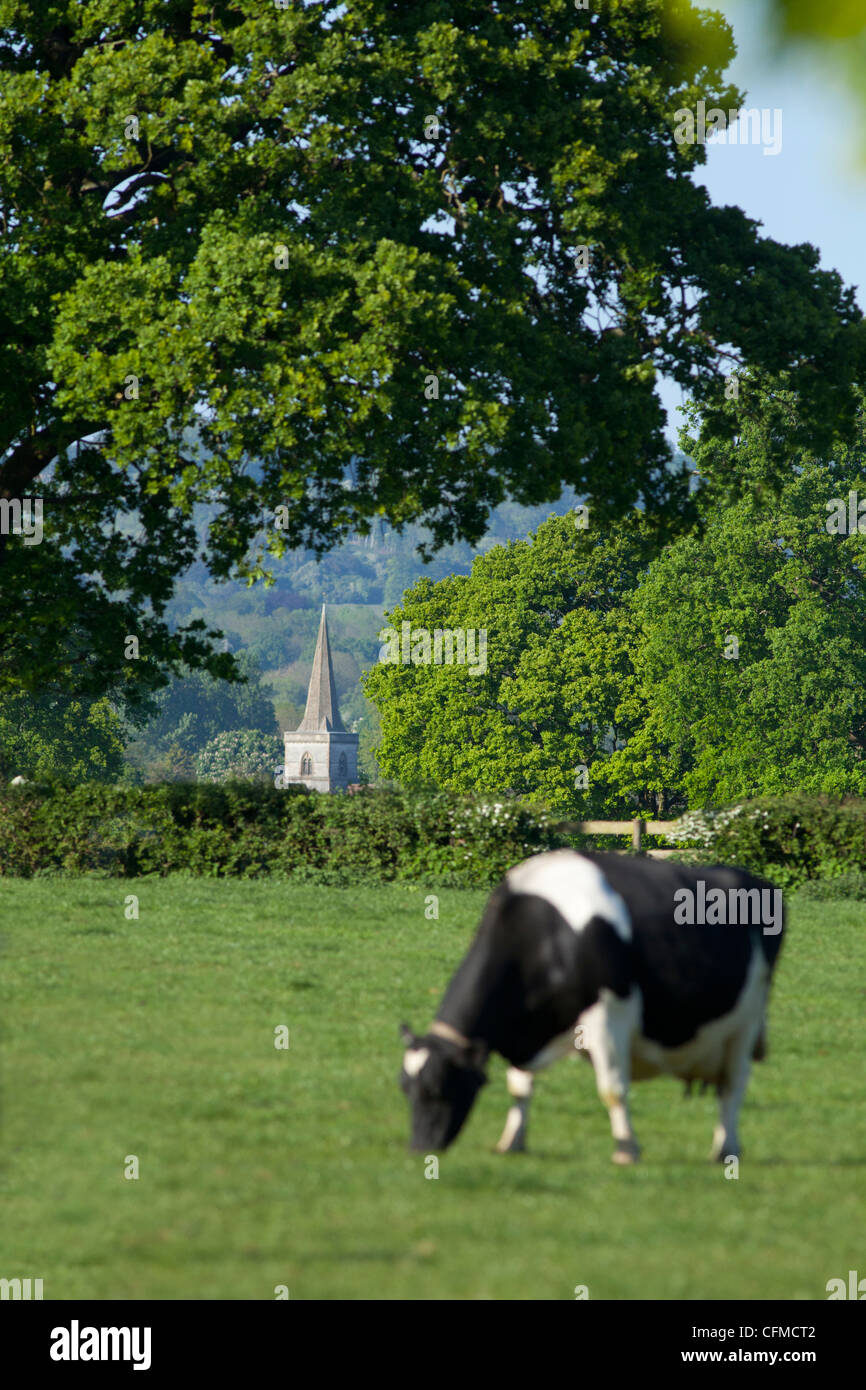 Brockham church spire Banque de photographies et d’images à haute ...