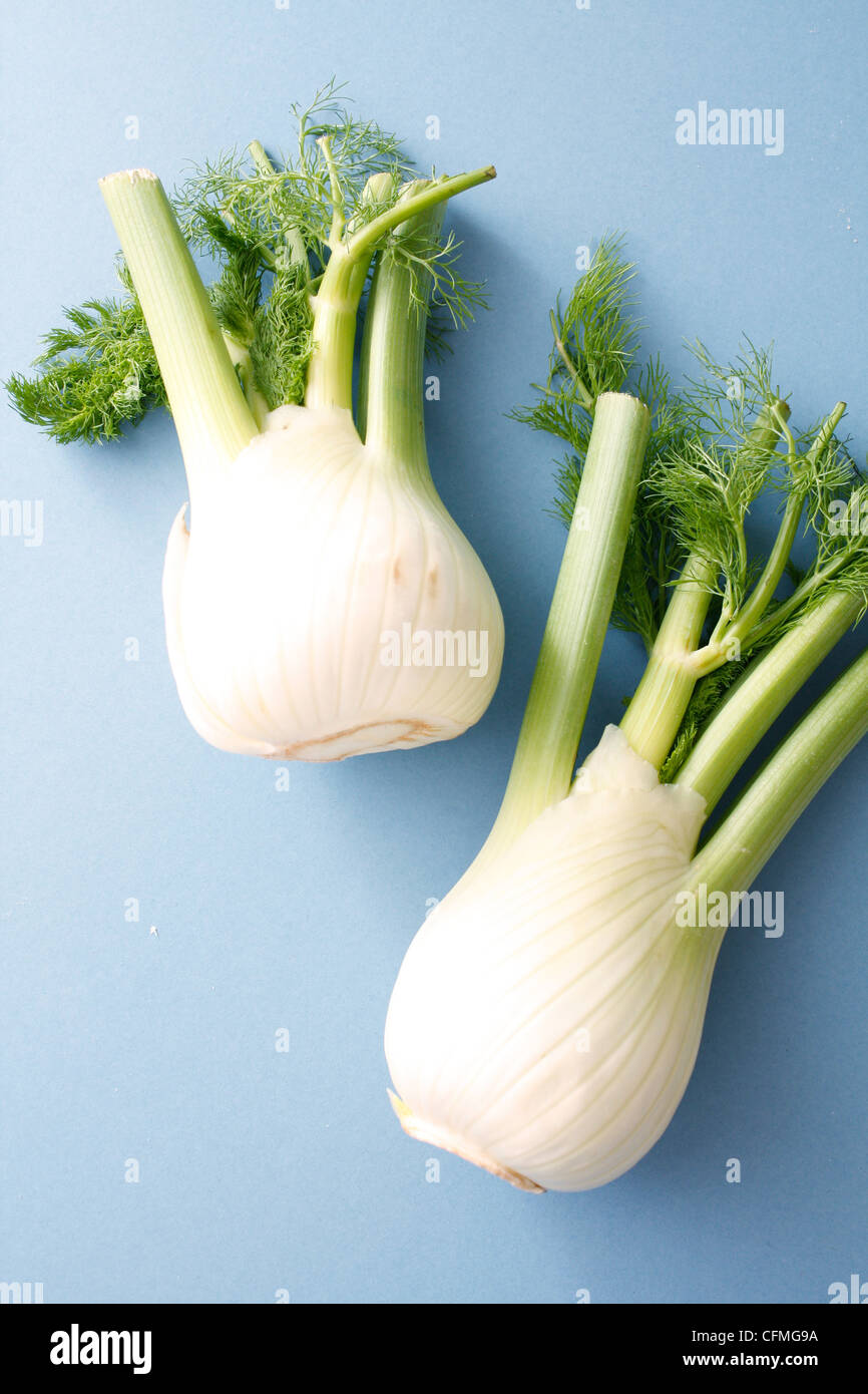 Bouquet De Fenouil Banque d'image et photos - Alamy