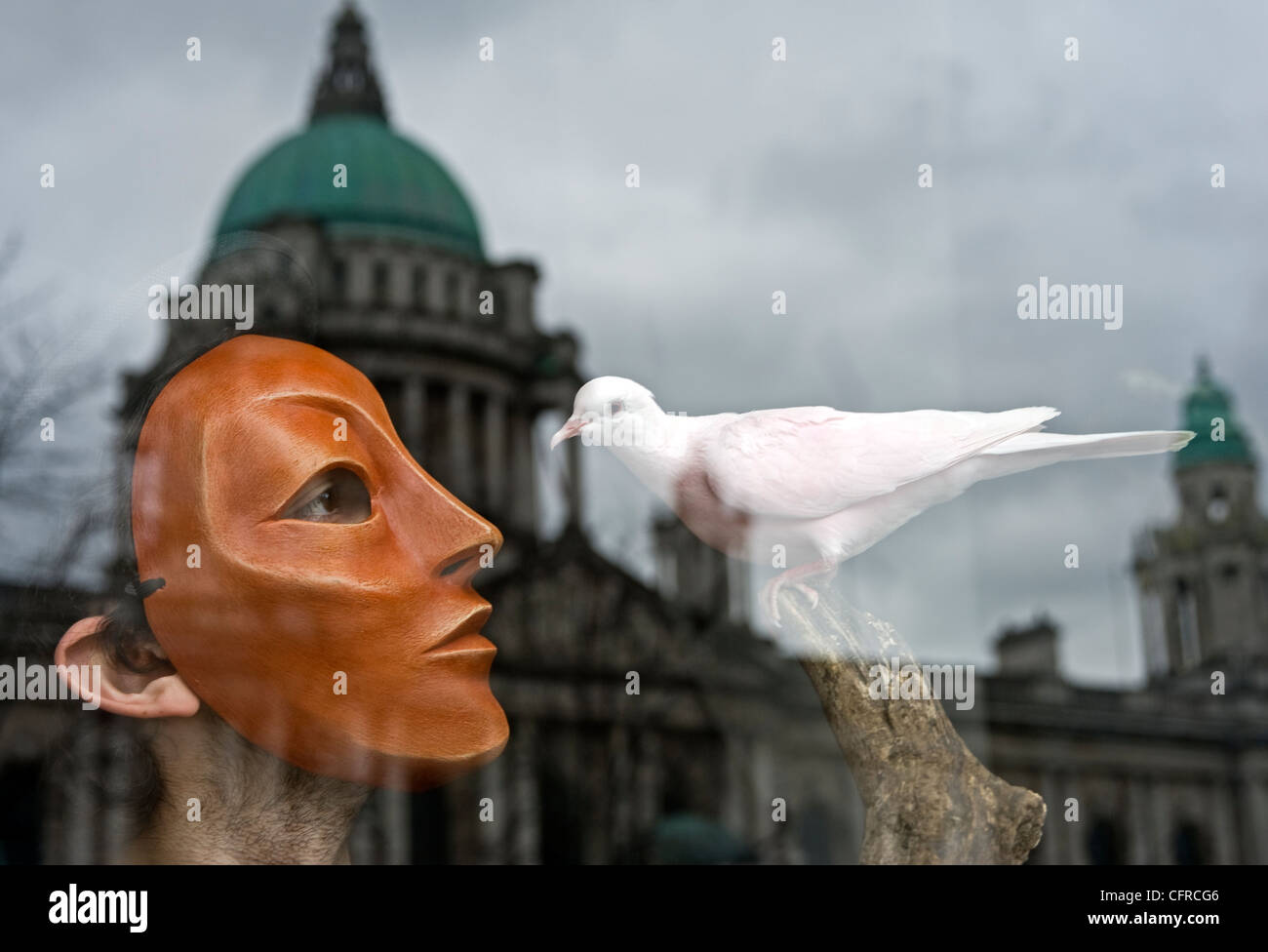 Masked dove Banque de photographies et d’images à haute résolution - Alamy