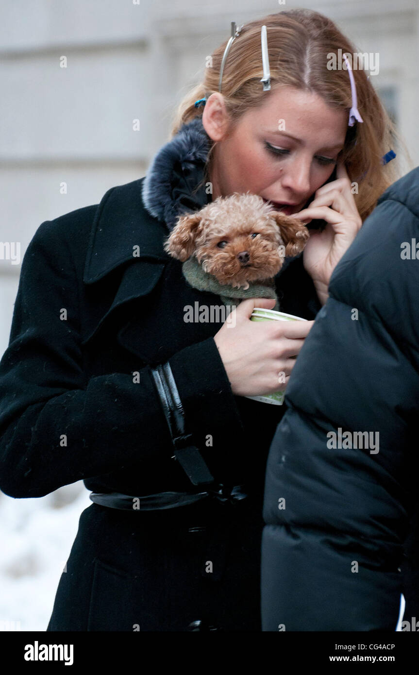 Blake lively and her dog Banque de photographies et d’images à haute ...