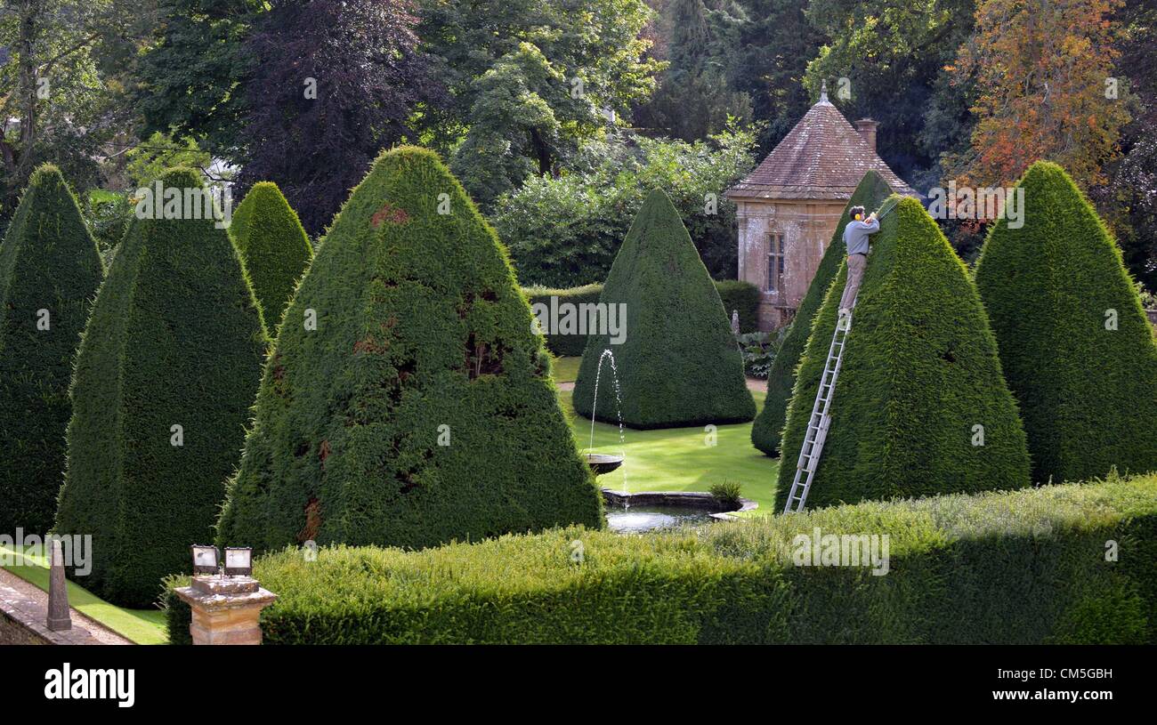 Ifs arbres Banque de photographies et d’images à haute résolution - Alamy