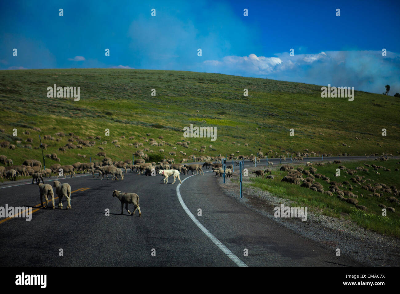 Jonathan seely Banque de photographies et d’images à haute résolution ...