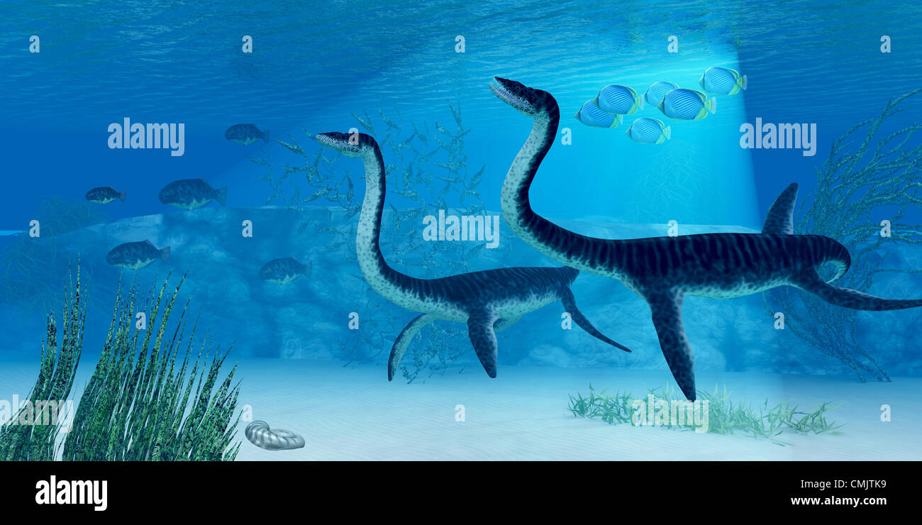 Mer jurassique étaient pleins de vie telles que le Plesiosaurus ...