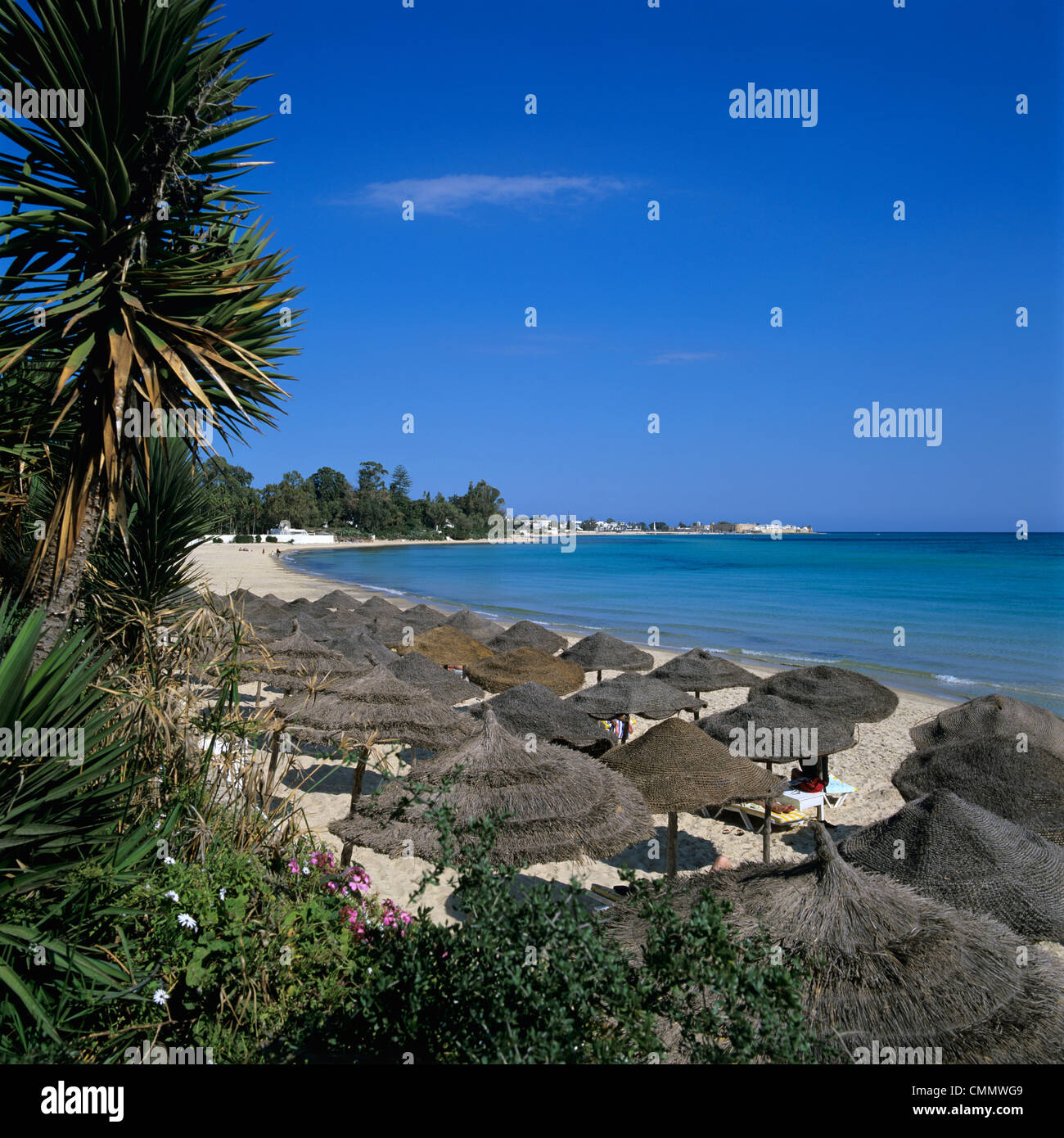 Vue le long beach à la médina de Hammamet, l'hôtel Sindbad, Cap Bon ...