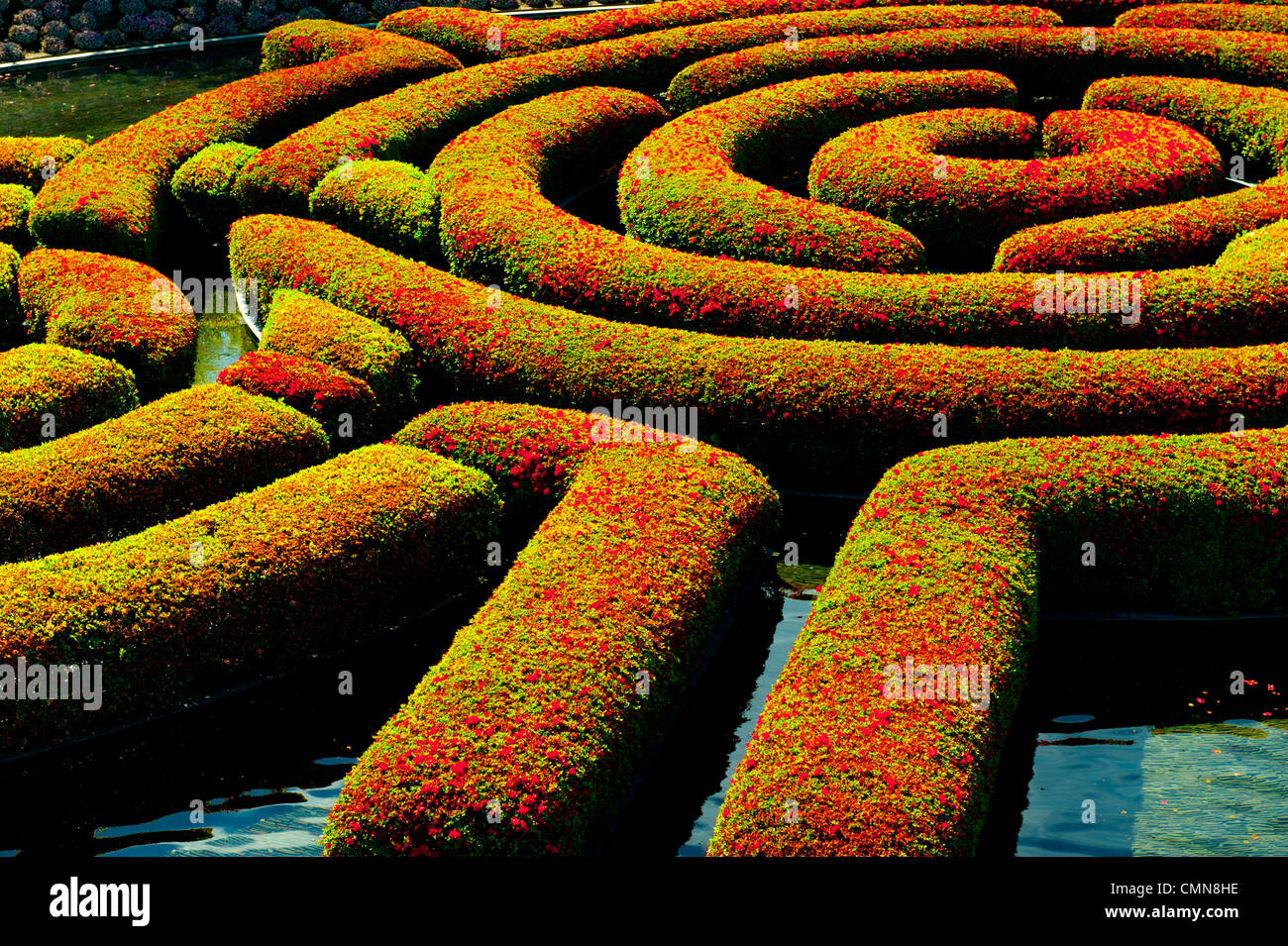 Labyrinthe de haie de getty Banque de photographies et d’images à haute ...