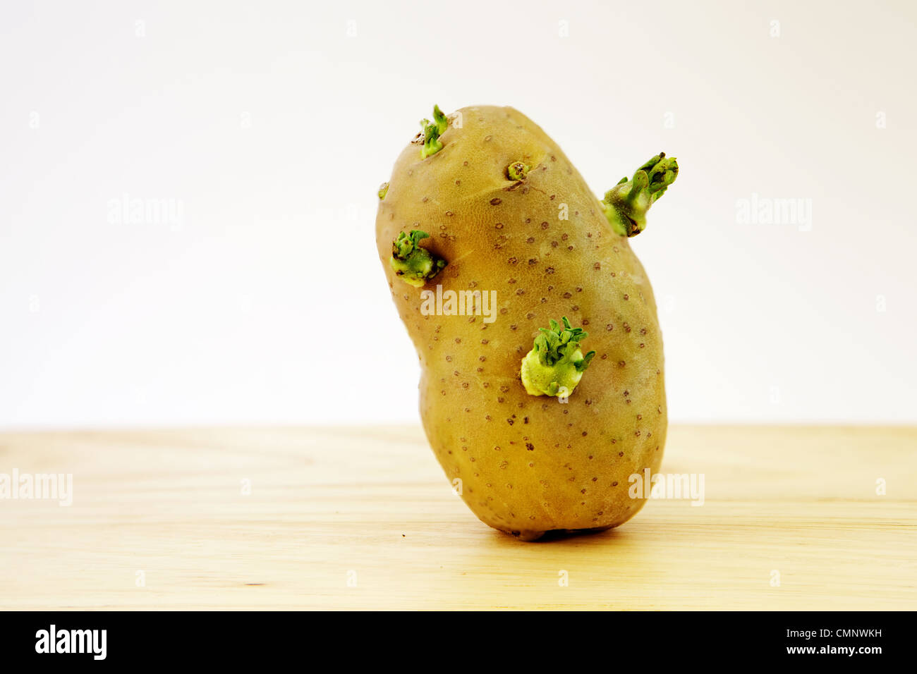 Tubercule de pomme de terre Banque de photographies et d’images à haute ...