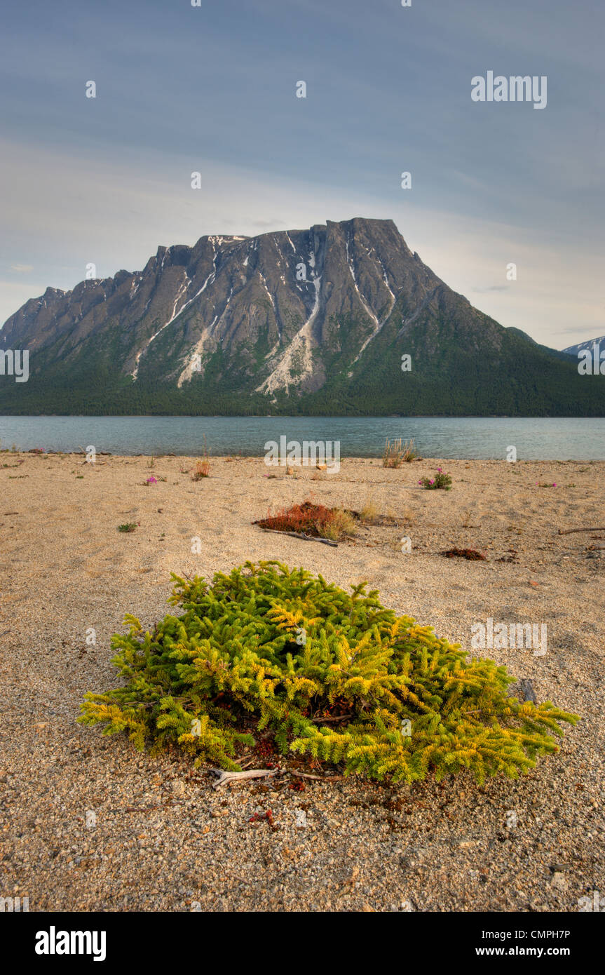 Kusawa lake Banque de photographies et d’images à haute résolution - Alamy
