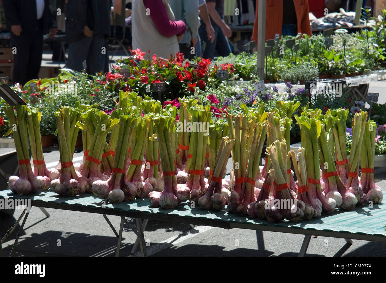 Bouquets colorés de l'ail frais dans le marché du samedi à Moissac, au ...