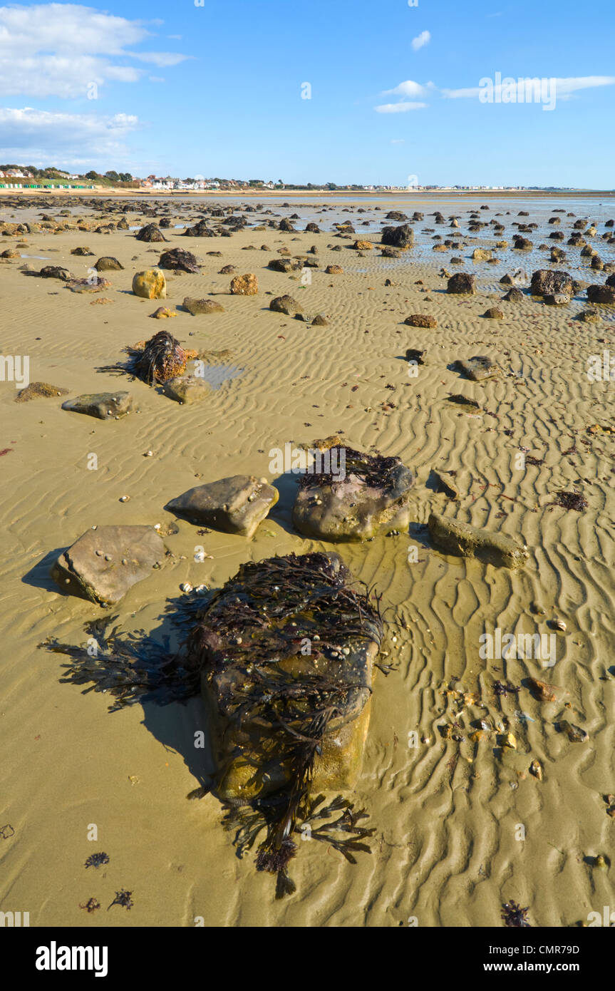 Meon shore Banque de photographies et d’images à haute résolution - Alamy
