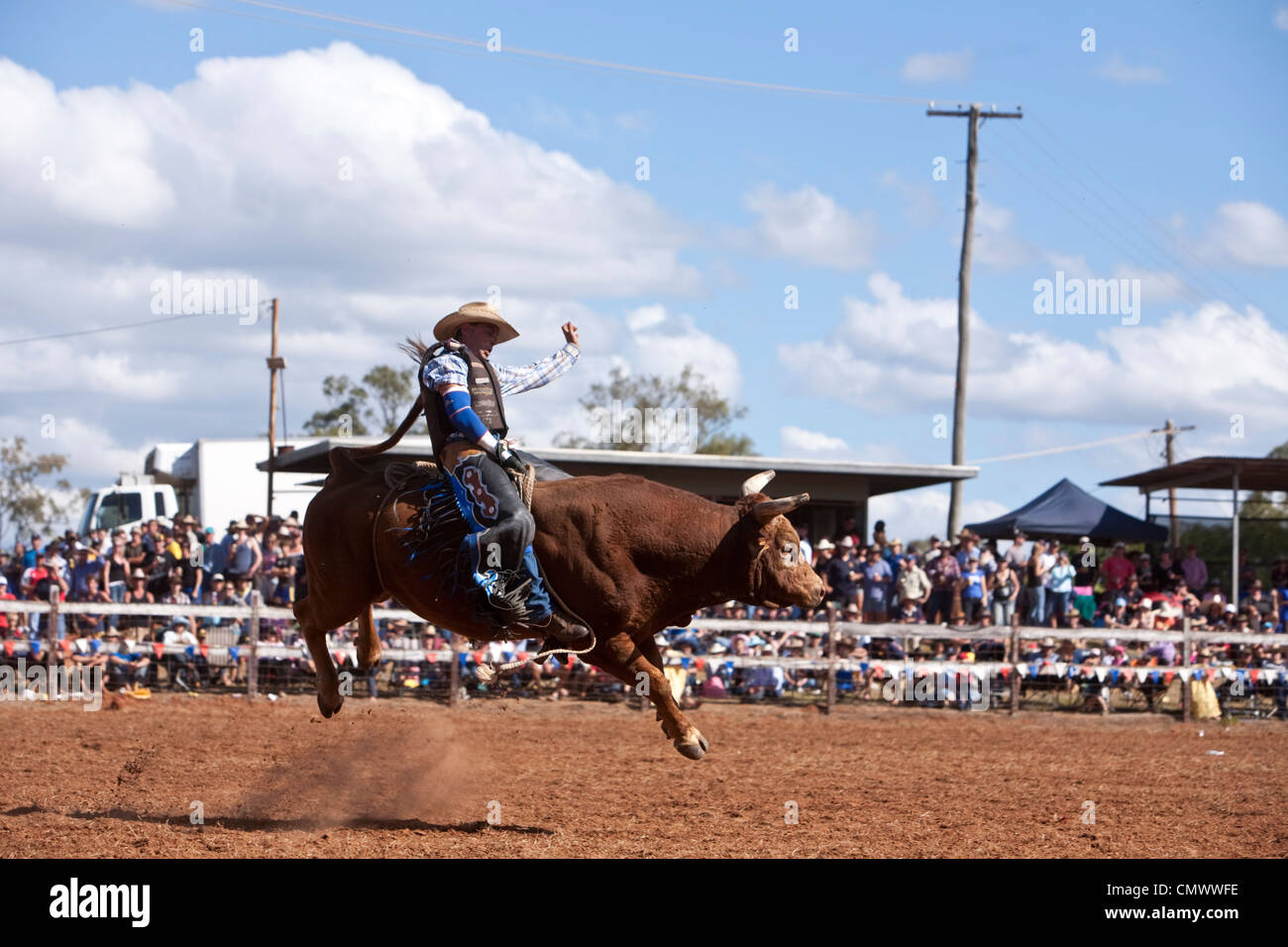 Rodeo cowboy Banque de photographies et d’images à haute résolution - Alamy