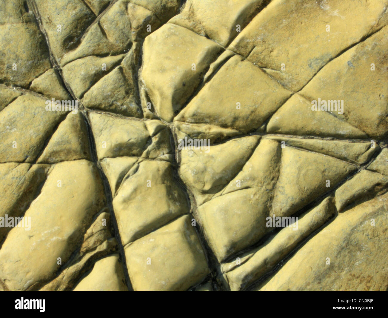 Kimmeridge Clay rock Photo Stock - Alamy