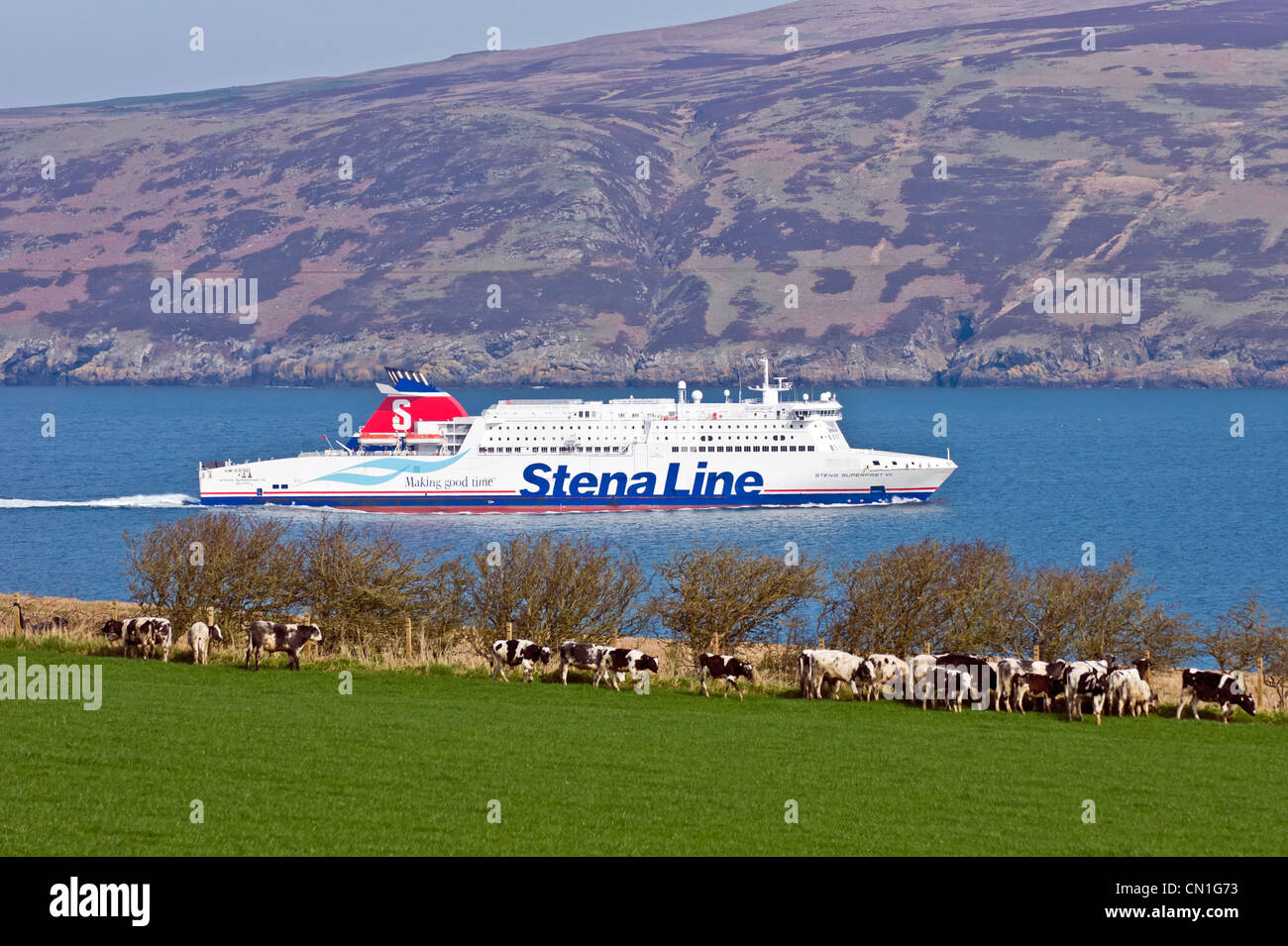 Nouvelle voiture et Stena Line ferry Stena RoRo passager Superfast VII ...