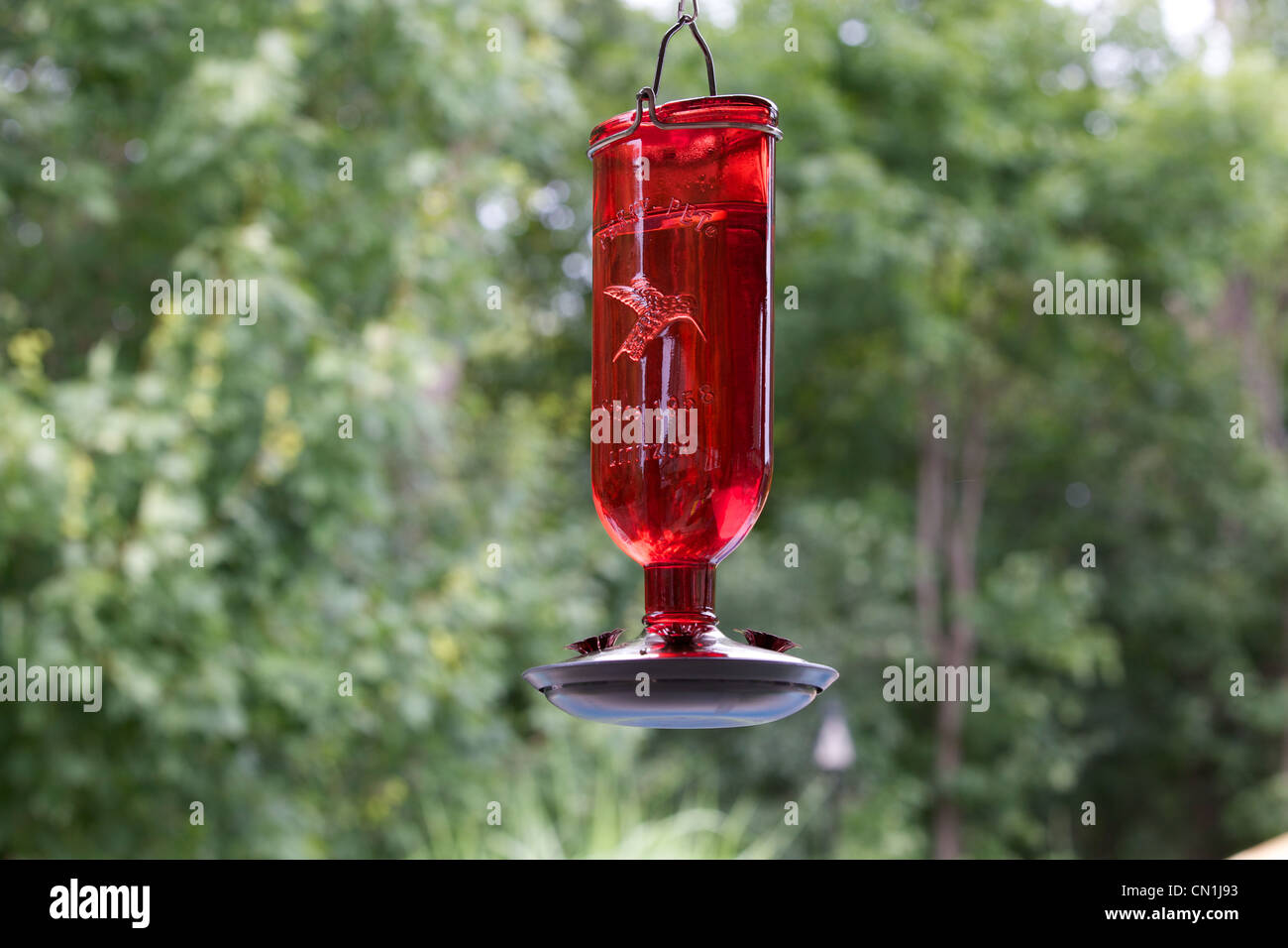 Colibri feeder Banque de photographies et d’images à haute résolution ...