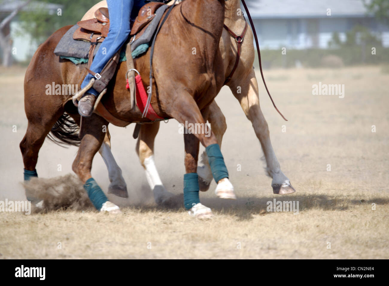 Val marie saskatchewan Banque de photographies et d’images à haute ...