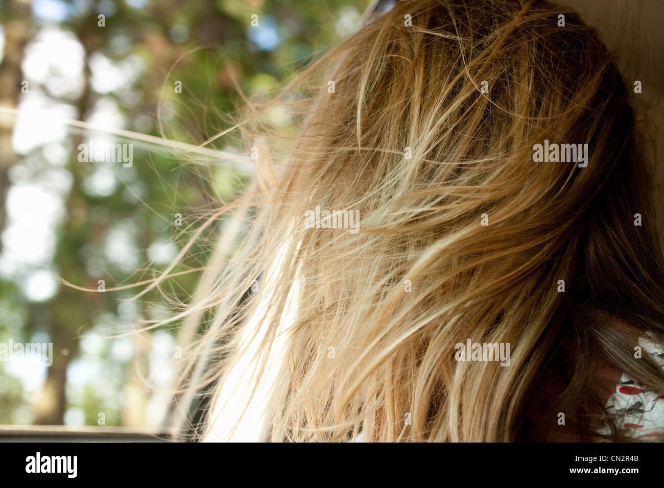 Messy hair in wind Banque de photographies et d’images à haute ...