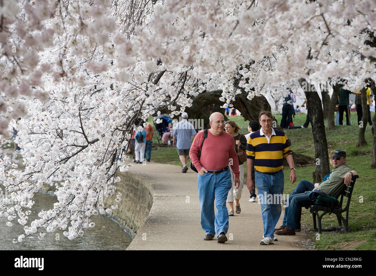 Washington dc arbres de fleurs de cerisier Banque de photographies et d ...