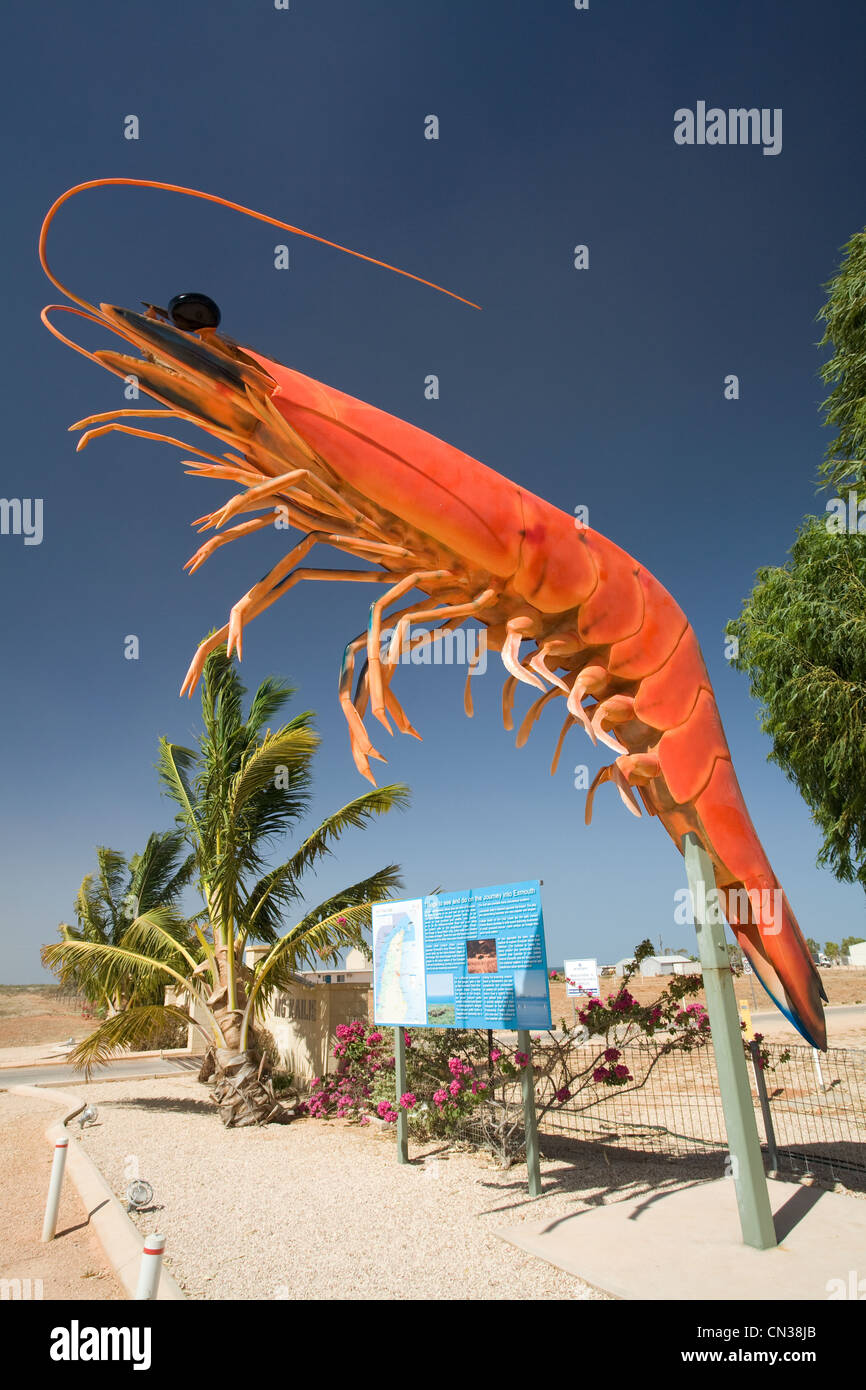 Crevette géante Banque de photographies et d’images à haute résolution ...