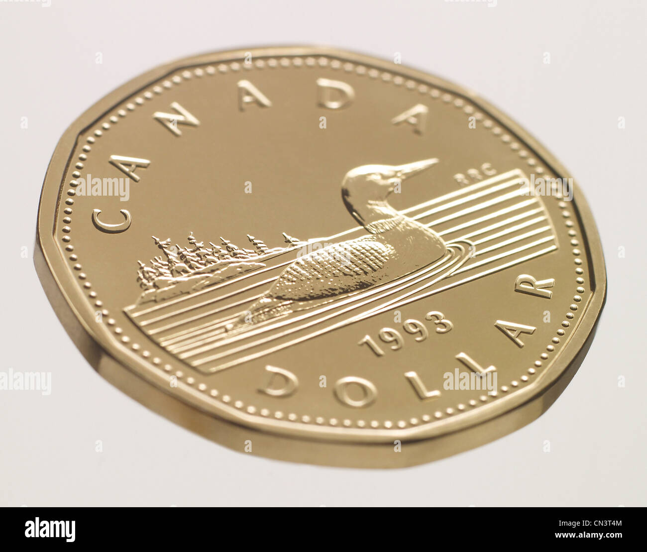 Le huard Banque de photographies et d’images à haute résolution - Alamy