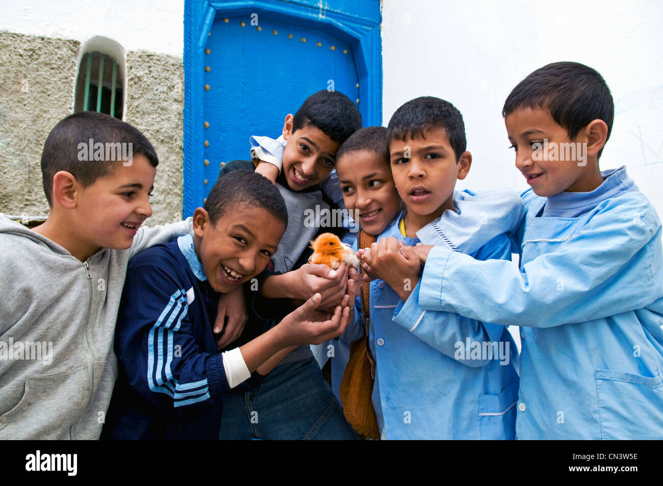 Maroc, Région Tanger Tétouan, Tanger, les enfants avec un poussin dans ...