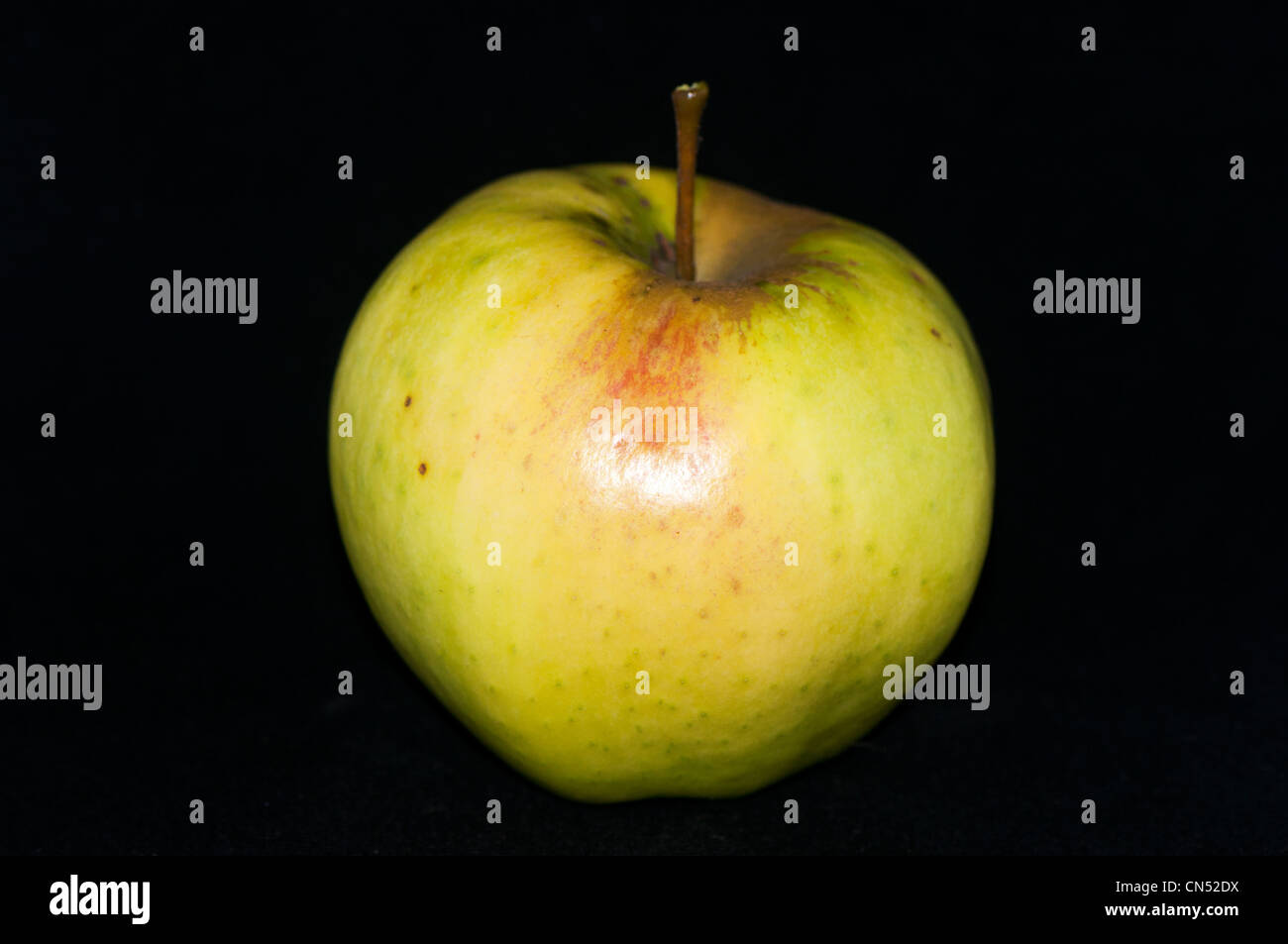 Signe Tillisch, un cultivar de pomme très aromatique Photo Stock - Alamy