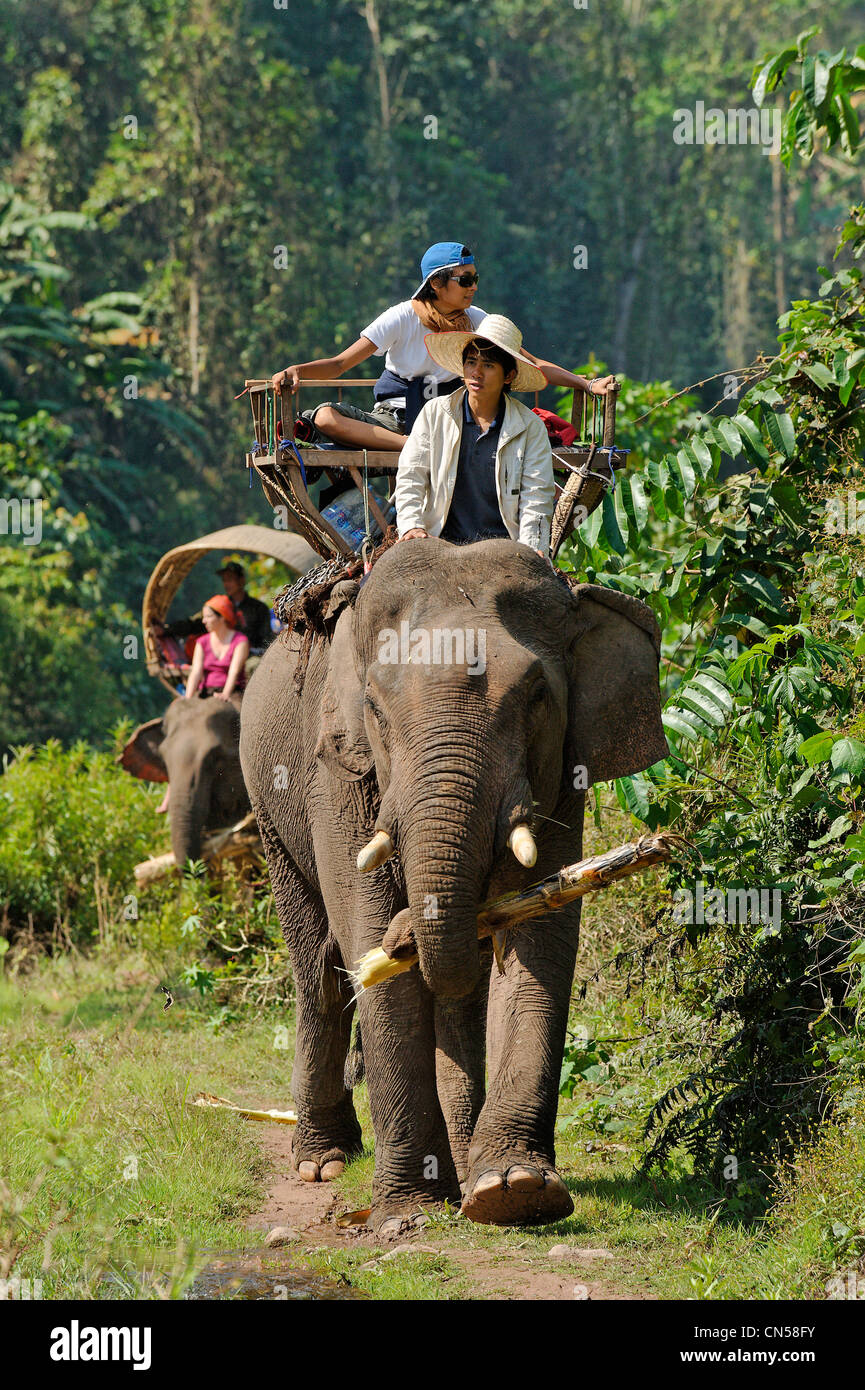 Palanquin elephant Banque de photographies et d’images à haute ...