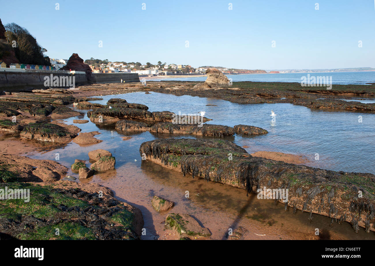 Devon angleterre Banque de photographies et d’images à haute résolution ...