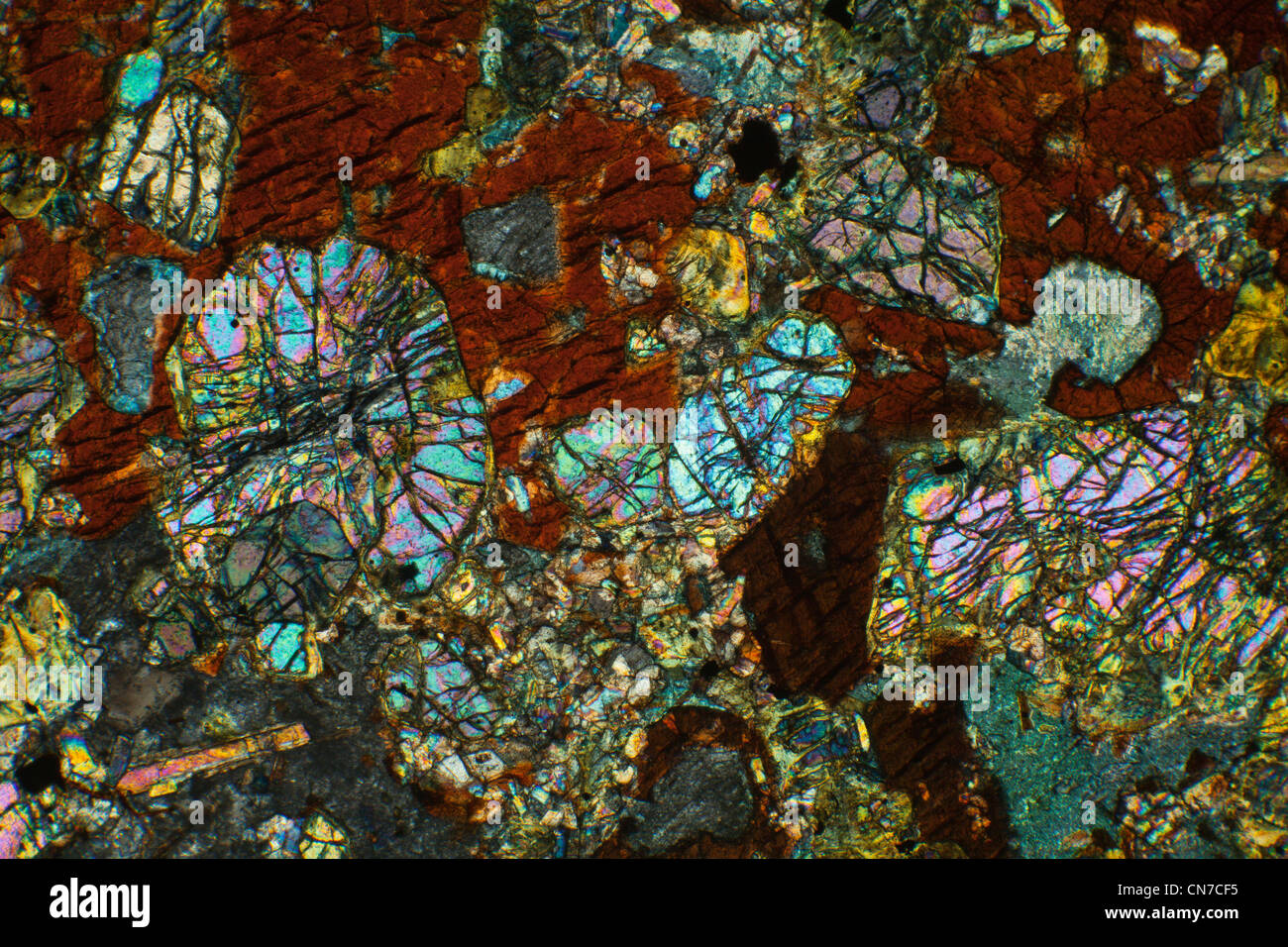 Microscope polarized picrite mineralogy Banque de photographies et d ...