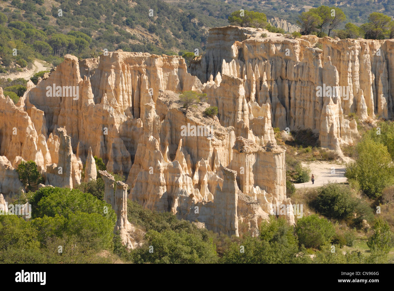 France, Pyrenees Orientales, Ille sur Tet, les organes de l'Ille sur ...