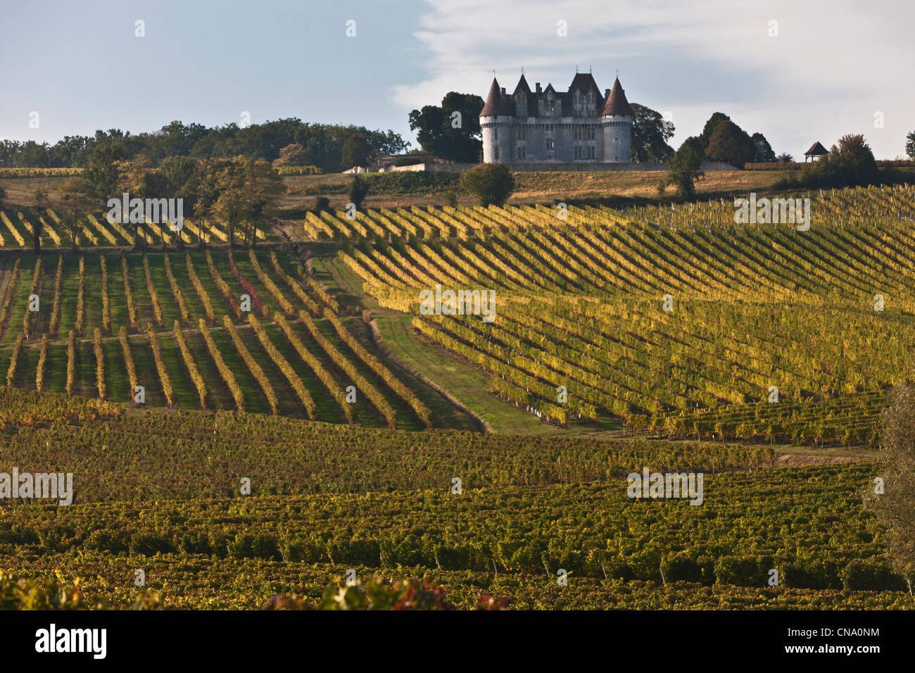 France, Dordogne, Monbazillac Monbazillac château qui appartient à la ...