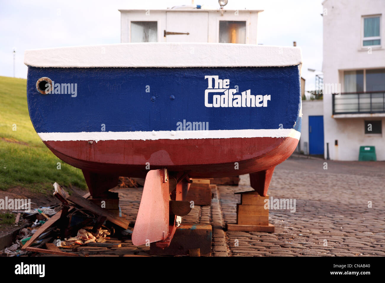 The codfather Banque de photographies et d’images à haute résolution ...