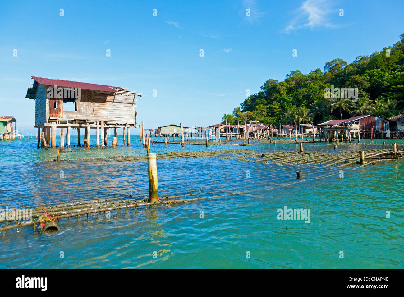 Mussel farm Banque de photographies et d’images à haute résolution - Alamy
