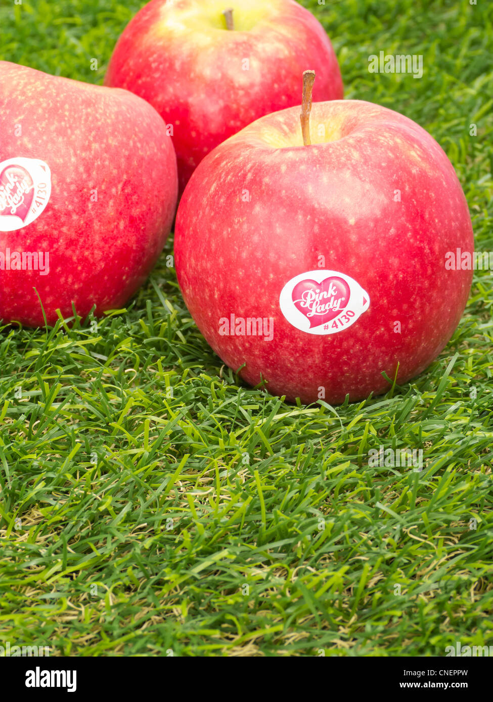 Pink lady apples Banque de photographies et d’images à haute résolution ...