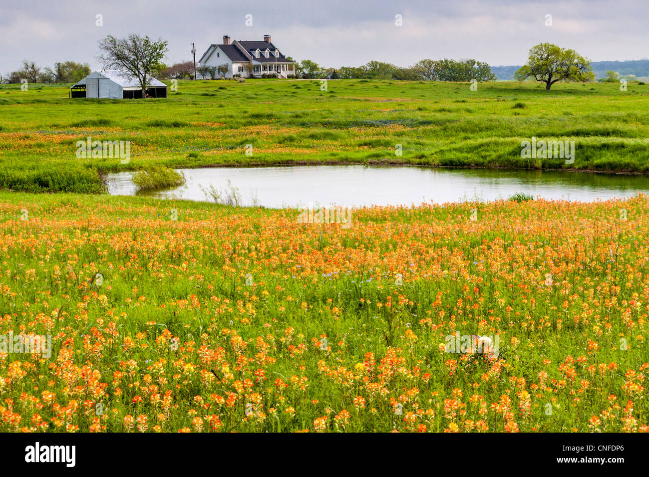 Texas farm Banque de photographies et d’images à haute résolution - Alamy