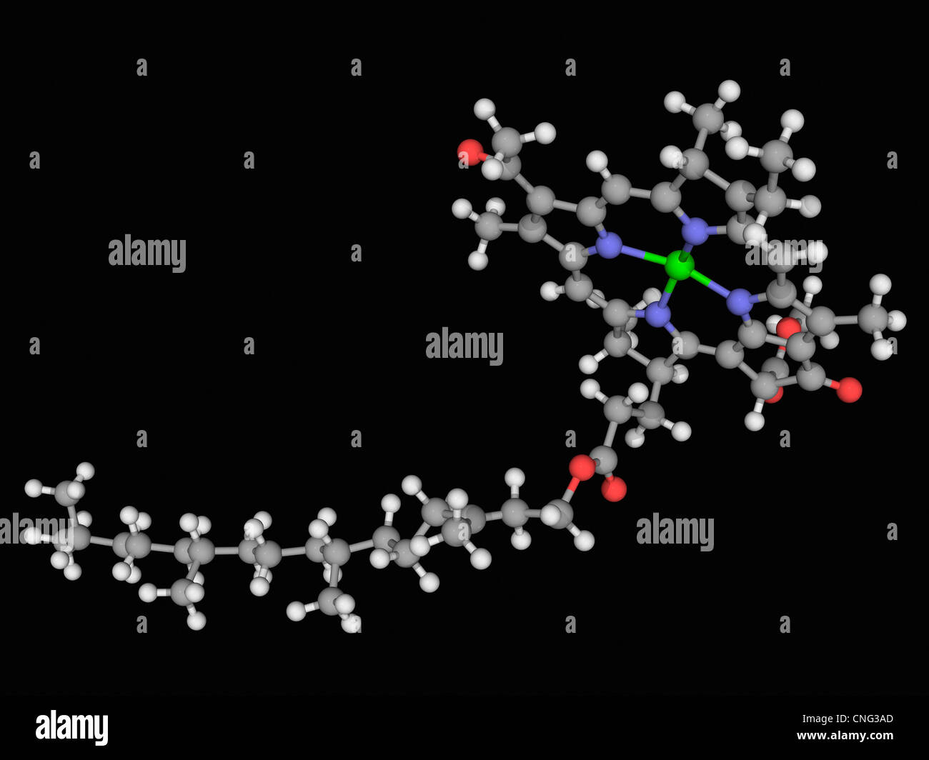 Chlorophyll molecule Banque de photographies et d’images à haute ...
