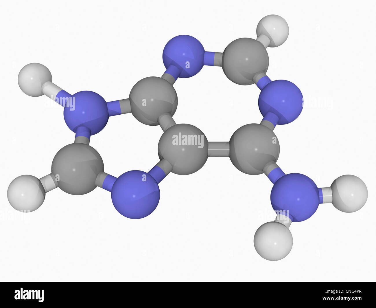 Molecular model of purine nucleobase Banque de photographies et d ...