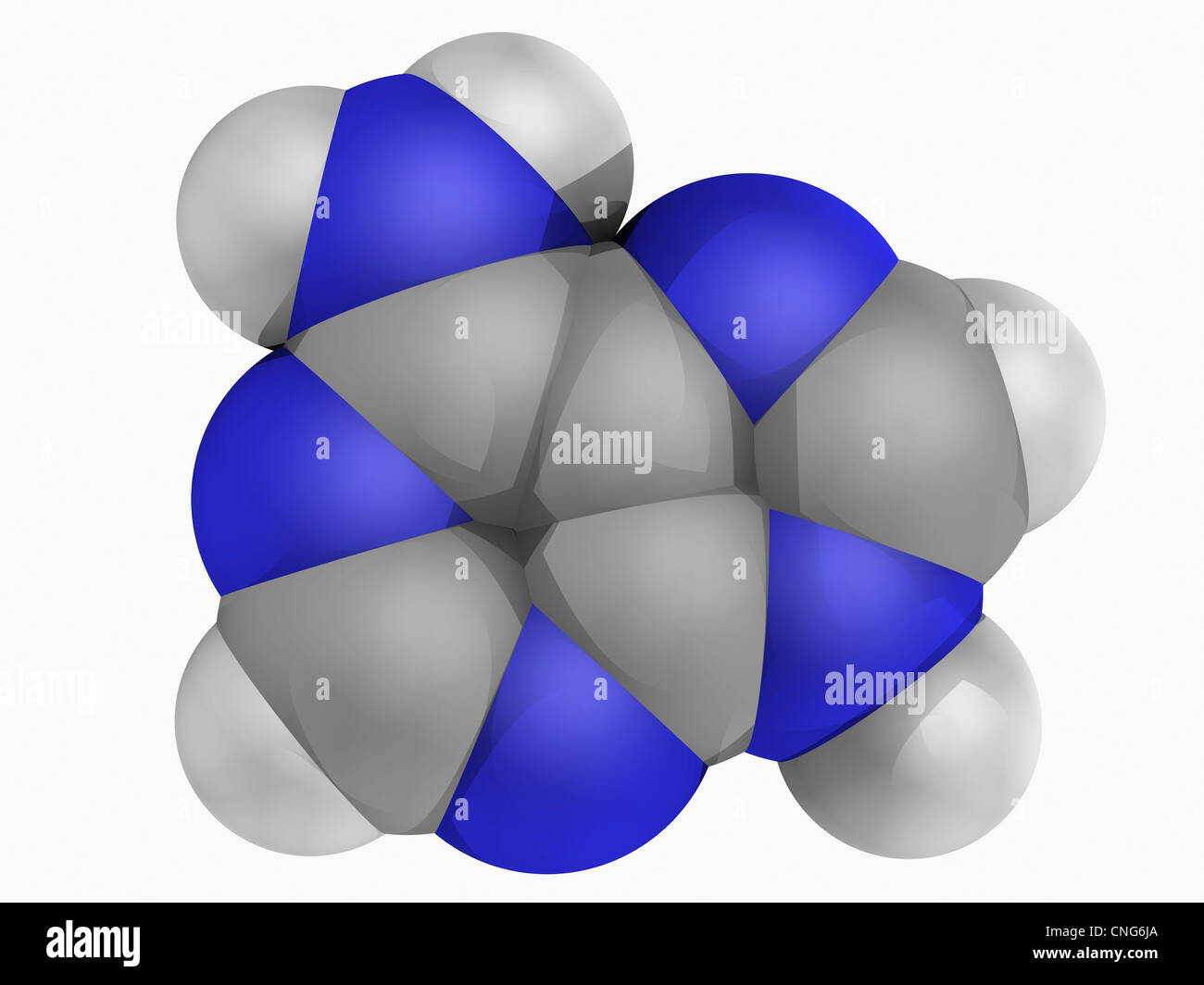 Molecular model of purine nucleobase Banque de photographies et d ...