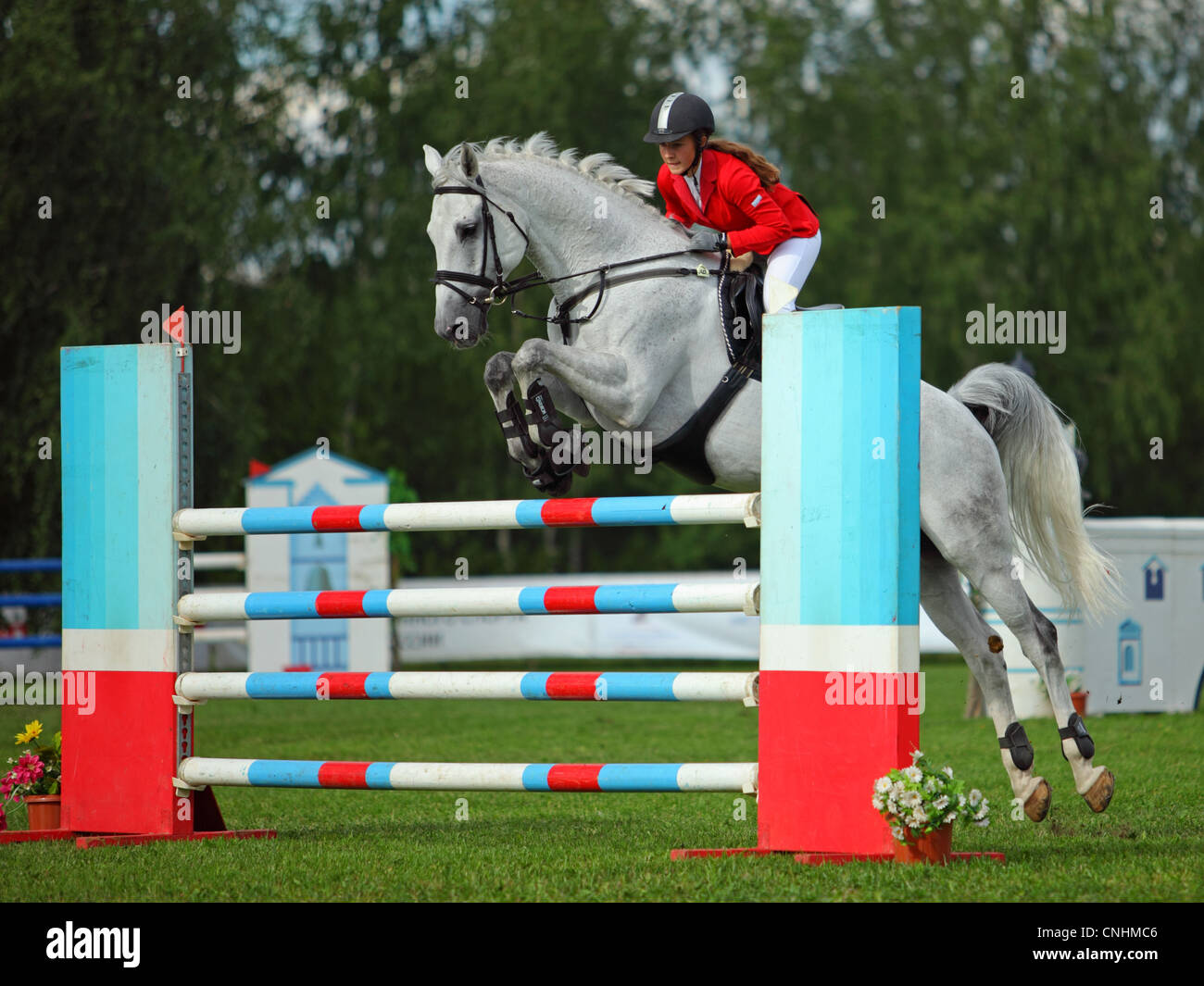 Cheval de sport Banque de photographies et d’images à haute résolution ...