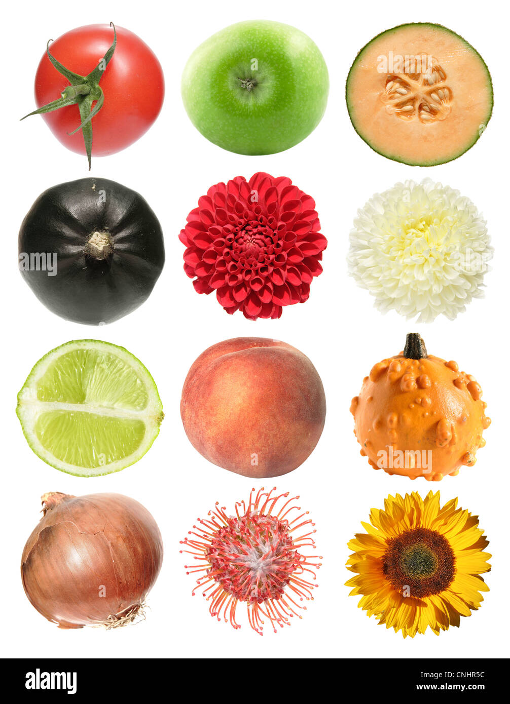 Collection d'objets ronds naturelles isolated on white Photo Stock - Alamy