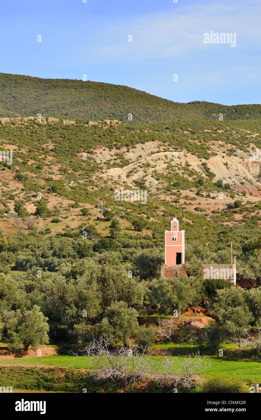 Voir des terres agricoles, de la mosquée et minaret hills, Ait-Ourir ...